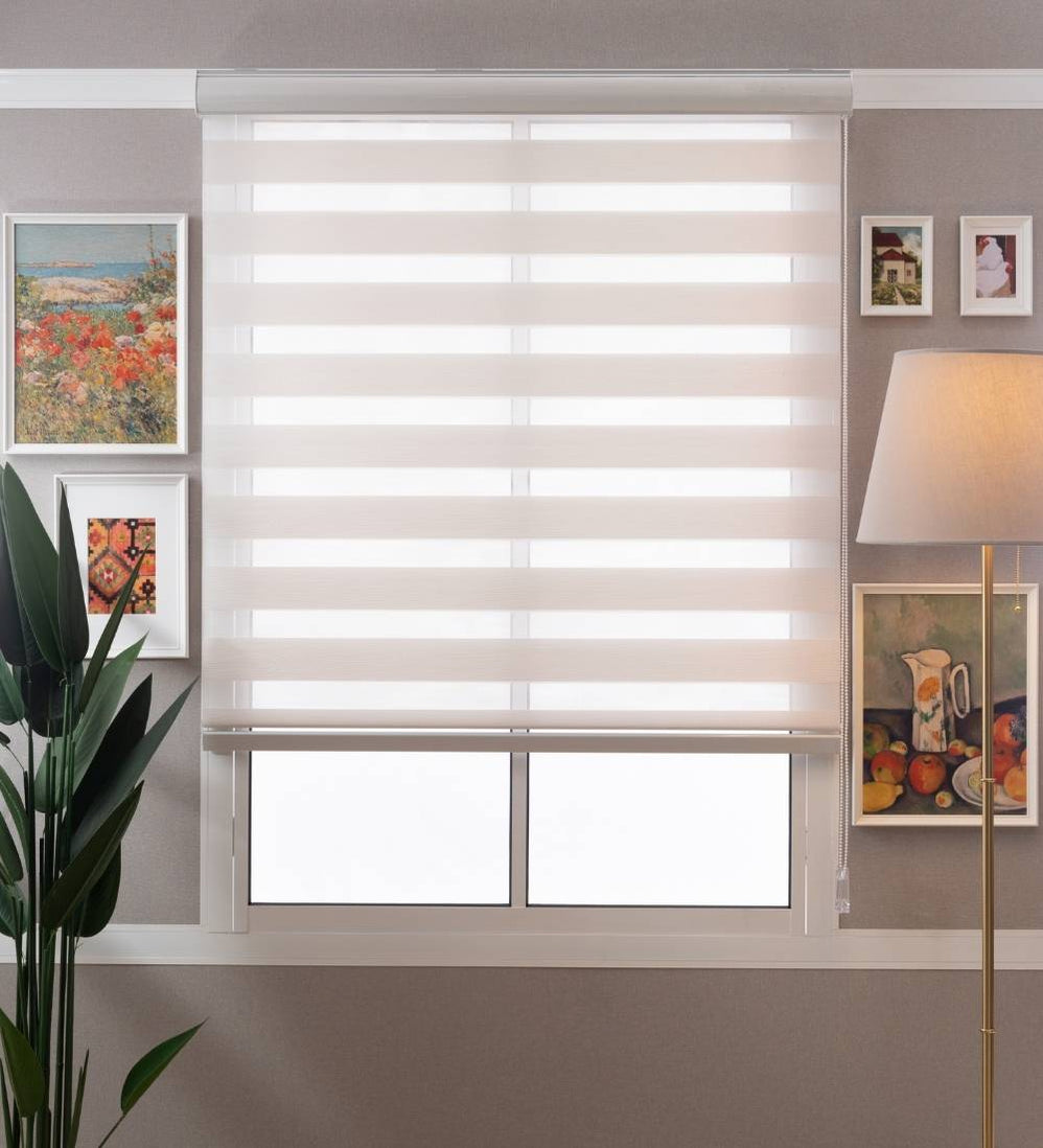 Office Blinds | Custom To Fit Any Window Sizes — BlindsHub.com